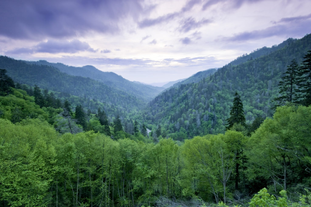 Economic Impact of Tourism in Sevier County - 2017 - Hometown Sevier